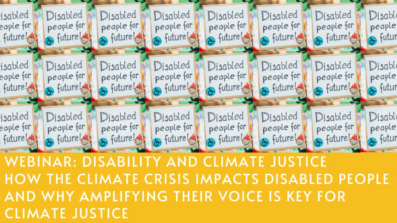 Disability and Climate Justice Webinar - Impatience Earth