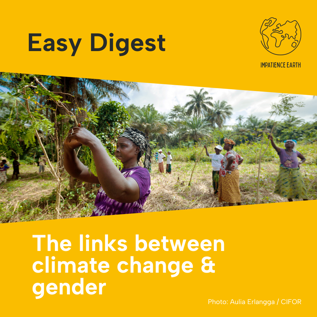 Easy digest: the links between climate change & gender - Impatience Earth