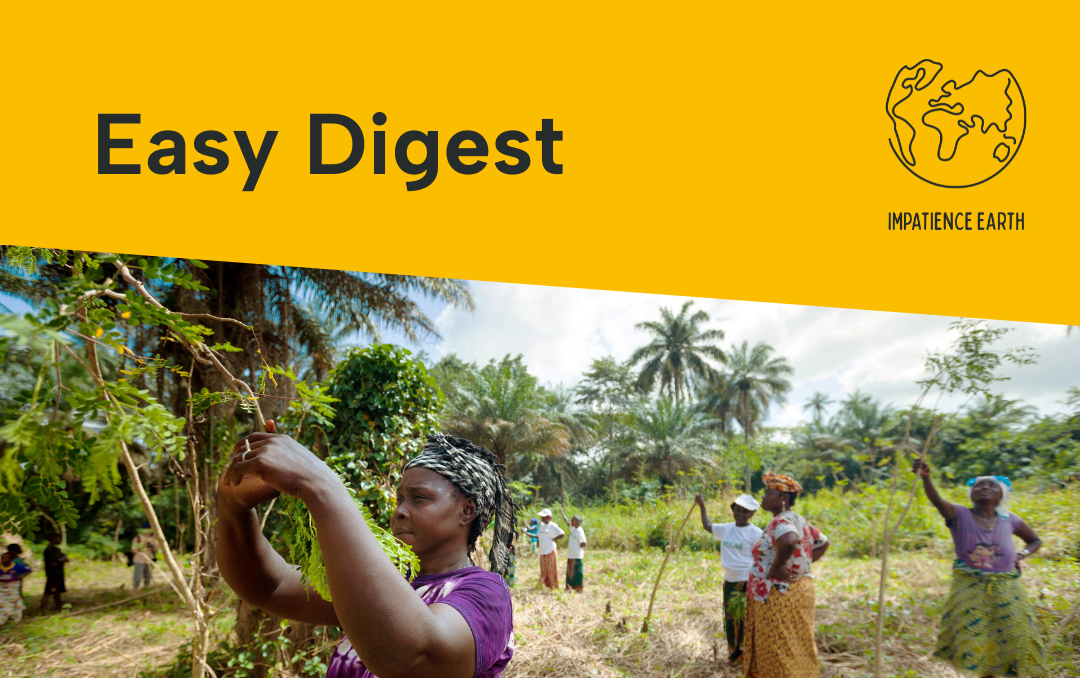 Easy digest: the links between climate change & gender - Impatience Earth