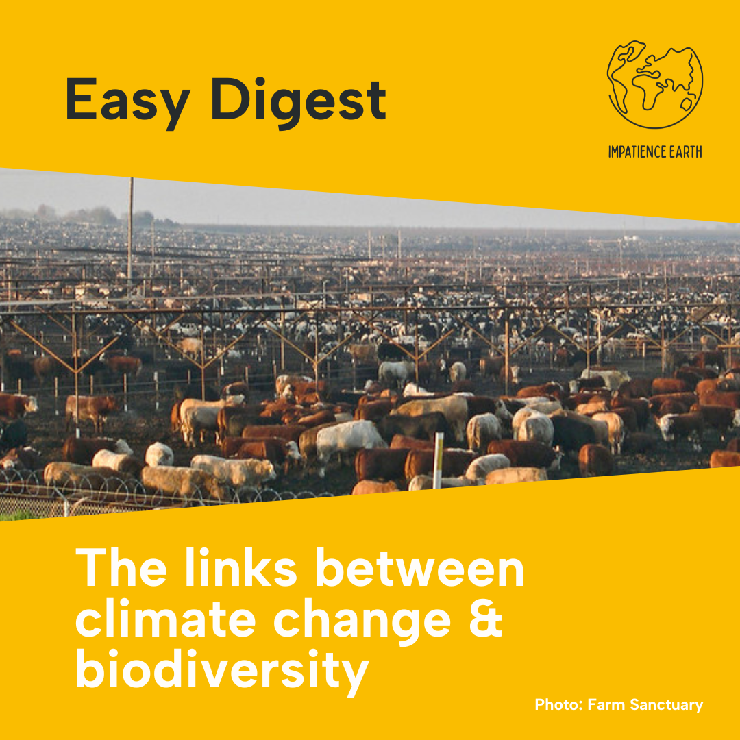 Easy digest: the links between climate change & biodiversity ...